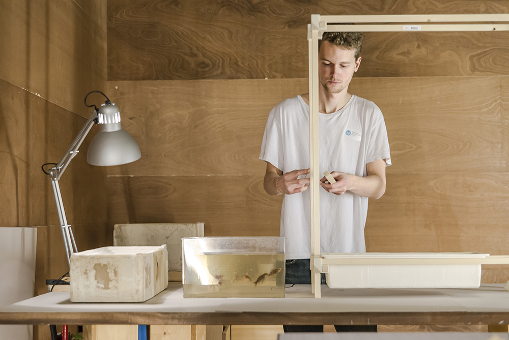 Open Farm – studio rta